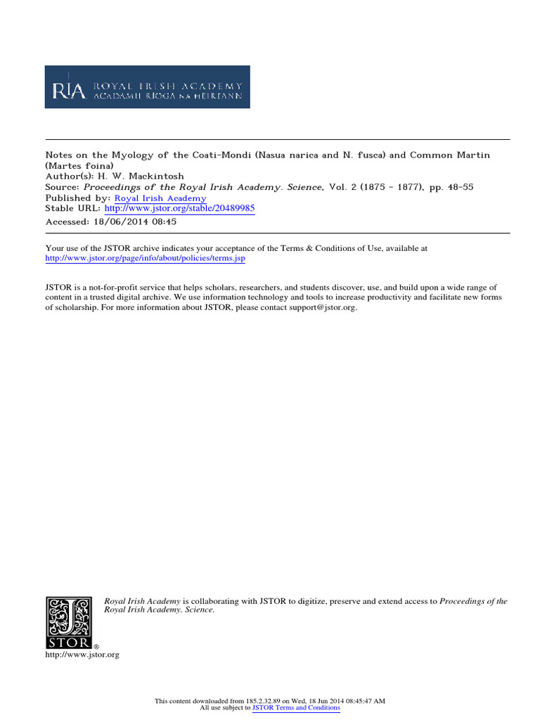 Miology en Nasua Narica, Nasua Fusca y Martes Foina (Mackintosh, 1875 ...