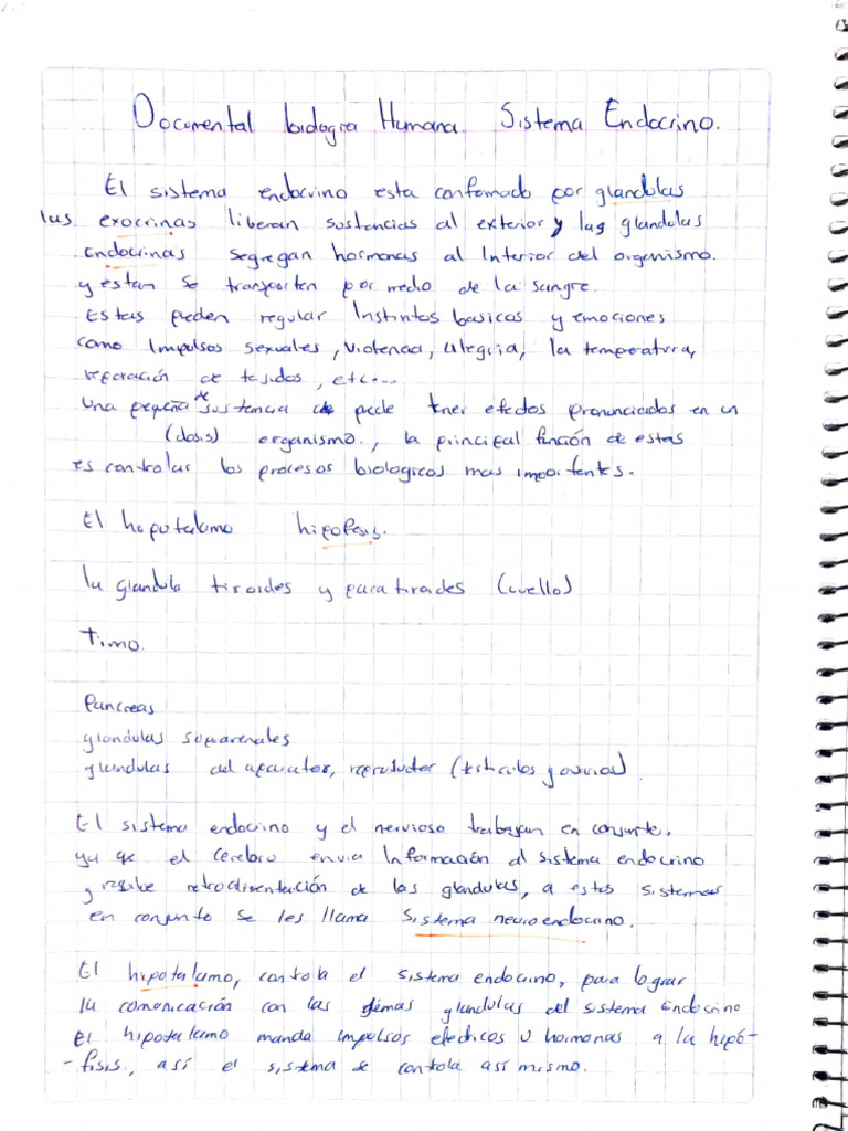Actividad 3 Luis Diego Luna Contreras | PDF