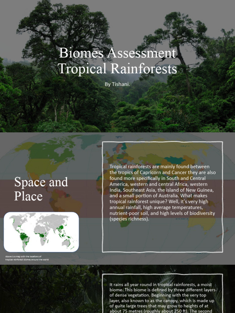 Biomes Assessment 2023 | PDF | Rainforest | Tropics