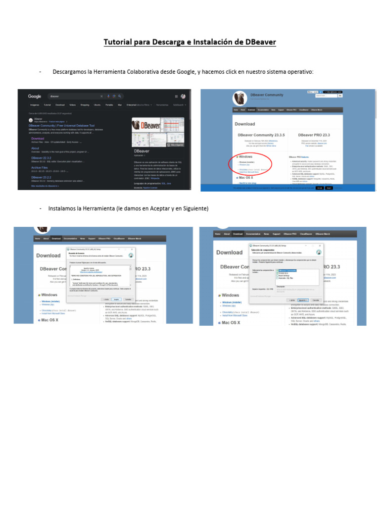 Tutorial para Descarga e Instalación de DBeaver | PDF