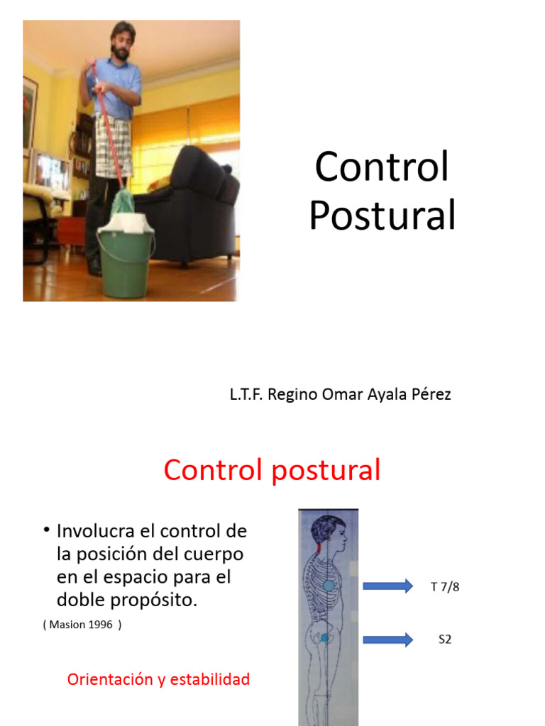 Control Postural: Estabilidad y Movimiento | PDF | Sentidos | Sistema ...