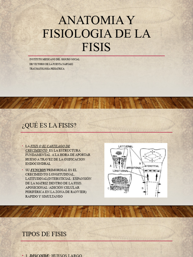 Anatomía de la Fisis y su Función | PDF | Hueso | Cartílago