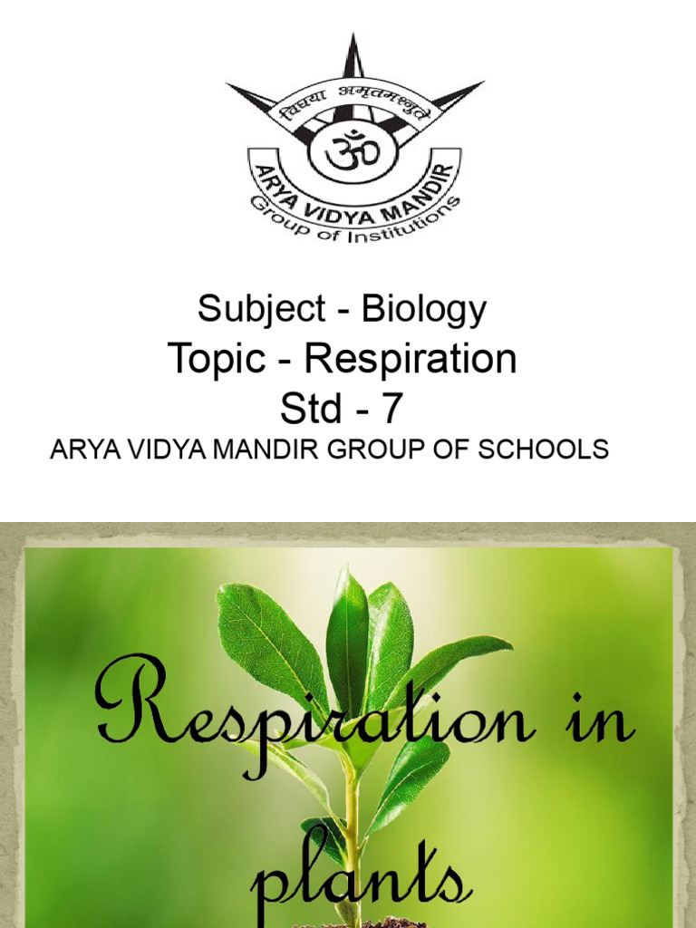 Respiration PPT STD VII | Download Free PDF | Cellular Respiration ...