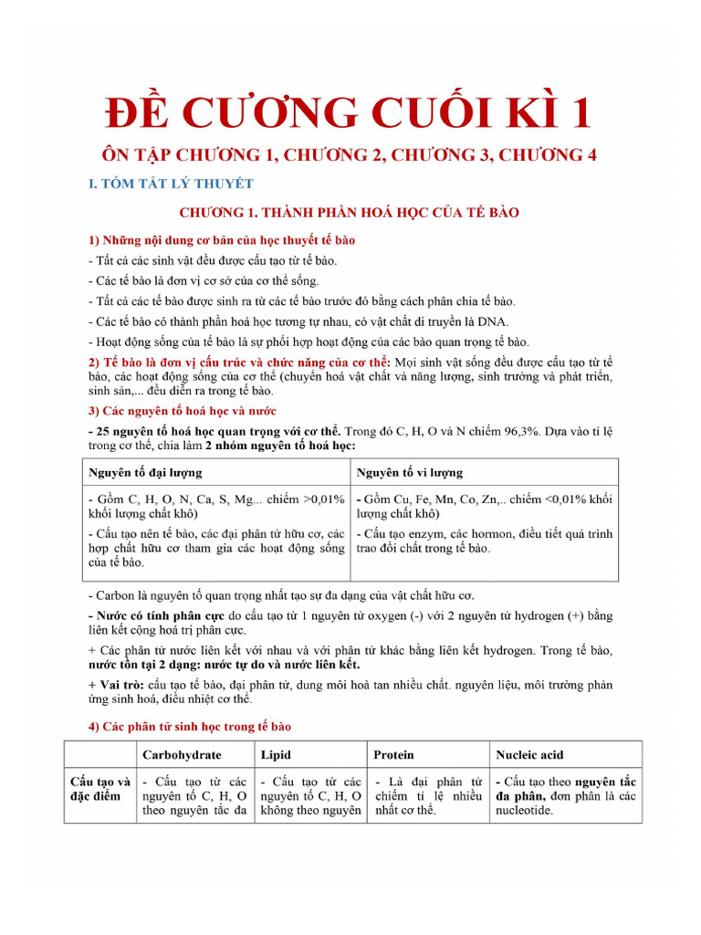De Cuong Cuoi Ki 1 | PDF