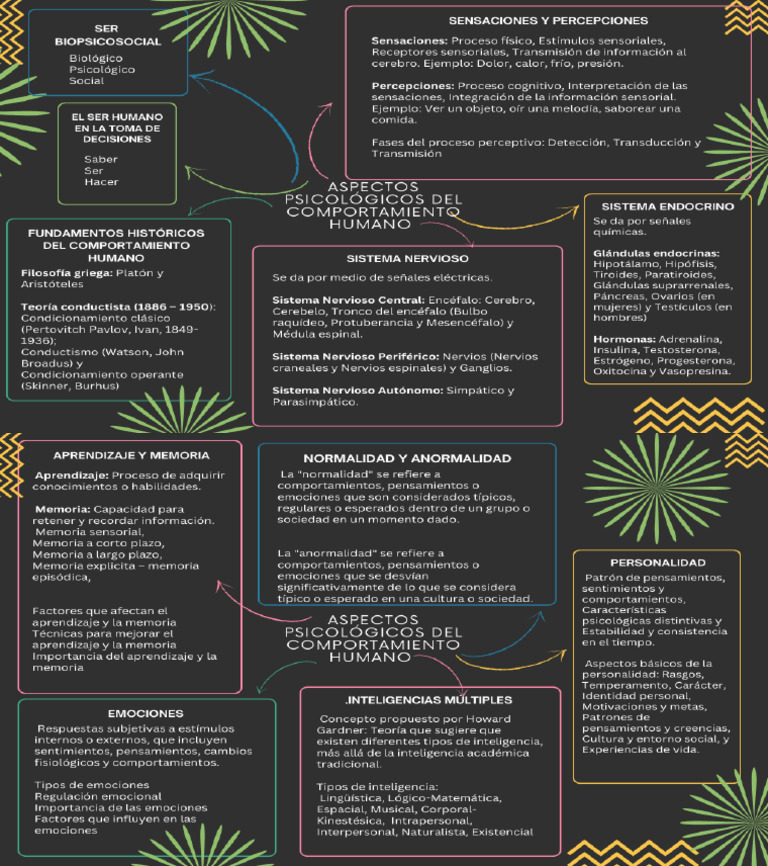 Mapa Mental de ASP Psic Comp Hum | PDF