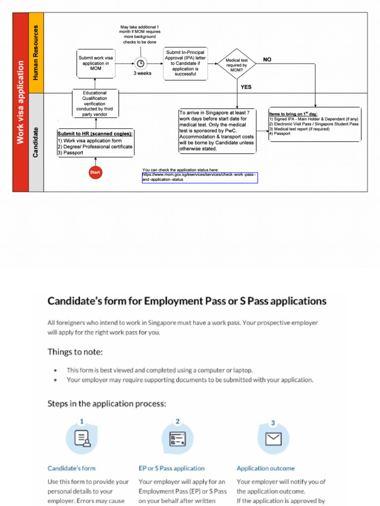 Work Visa Application | PDF | Identity Document | Travel Visa
