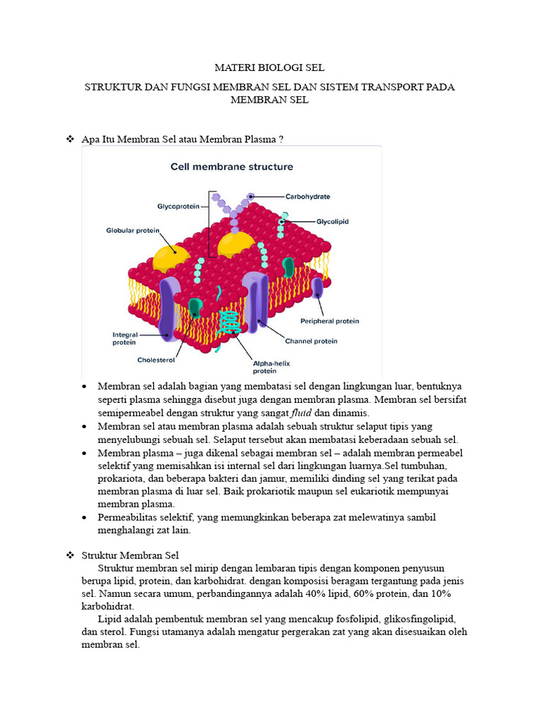 MATERI BIOLOGI SEL (Struktur Dan Fungsi Membran Sel, Dan Sistem Transport Pada Membran Sel) | PDF