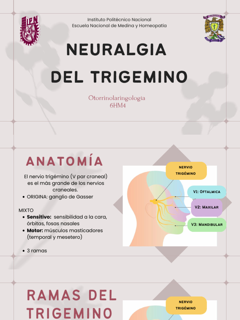 causas-y-tratamientos-de-neuralgia-trig-mina-pdf-anatom-a-humana