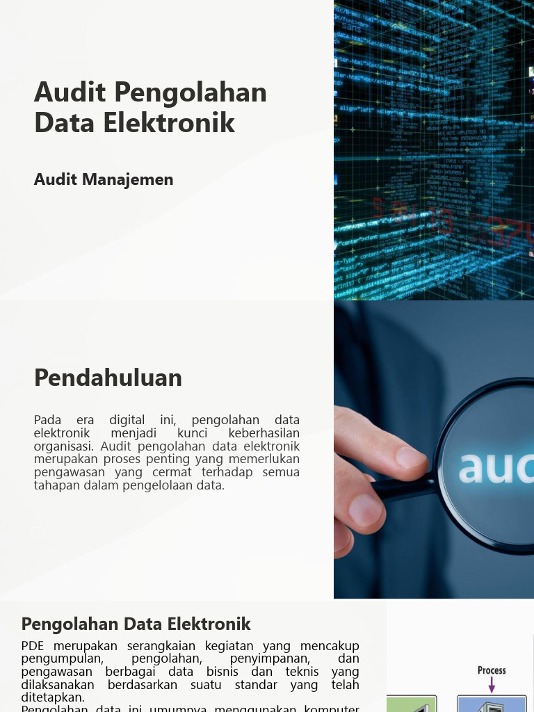 Audit Pengolahan Data Elektronik | PDF