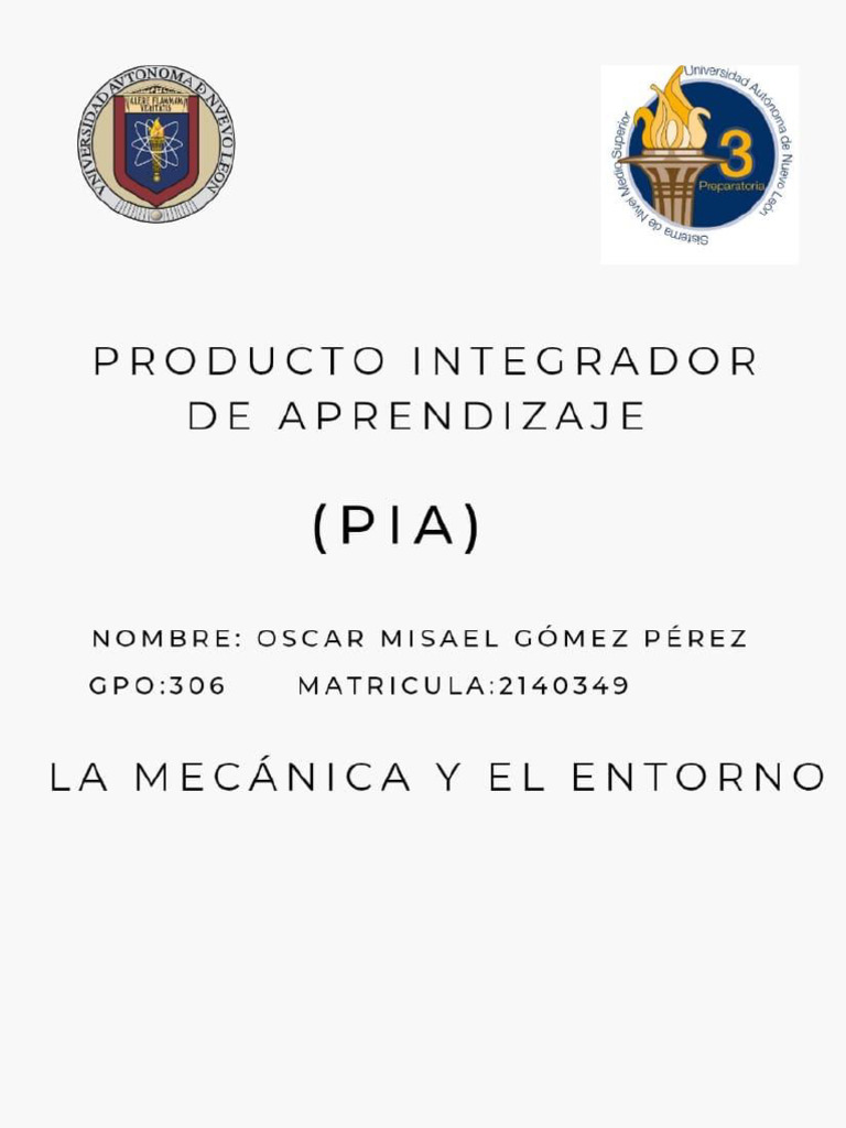 Pia La Mecanica y El Entorno | PDF