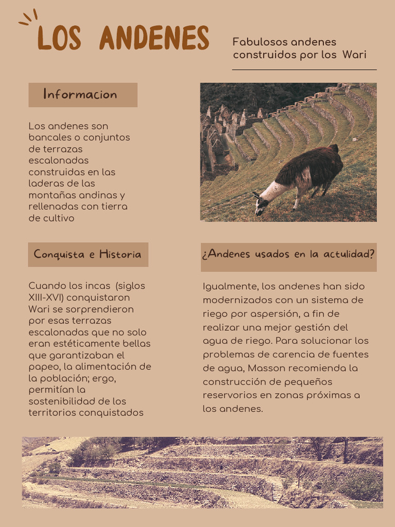 Andenes CCSS Infografia | PDF