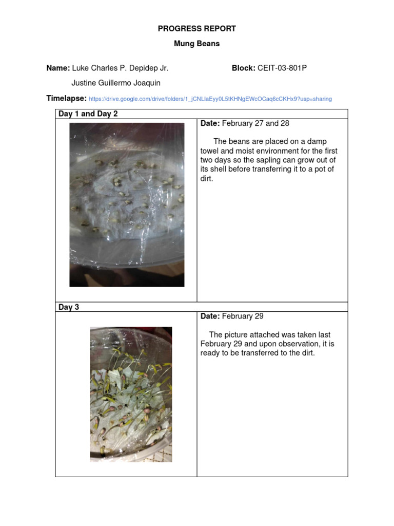 Depidep Joaquin Progress Report | PDF | Botany | Organisms