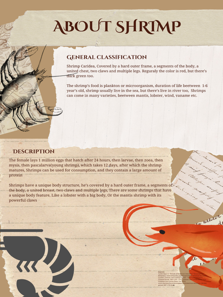About Shrimp | PDF