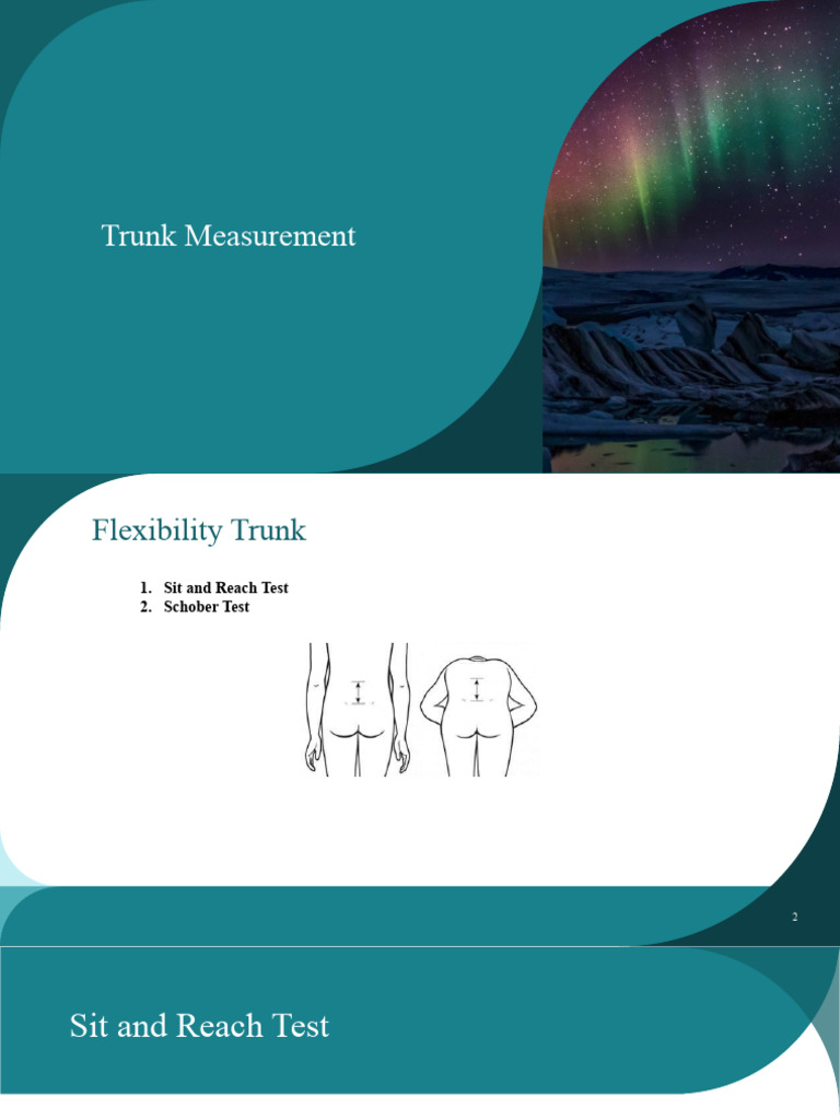 Trunk | PDF | Clinical Medicine