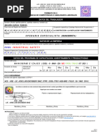 STPS - Formato DC-4 | PDF