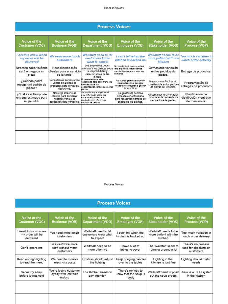 (3) VOP (Voz Del Proceso) | PDF