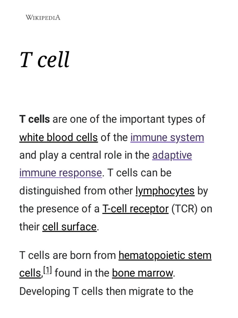T Cell - Wikipedia | PDF | T Cell | Thymus