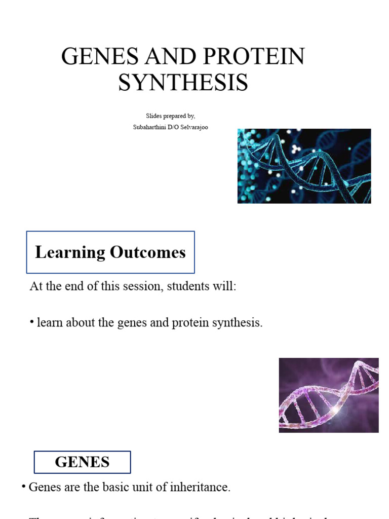 GENES AND PROTEIN SYNTHESIS | PDF