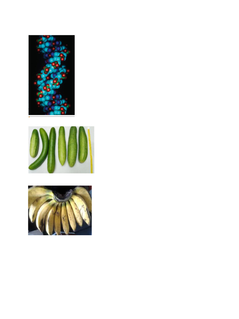 Lampiran Prak Bio-1 | PDF