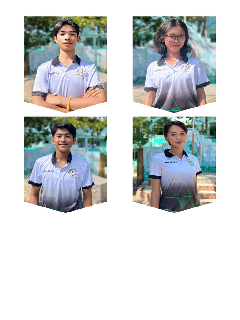 SSC Oficers Pic For Printing | PDF