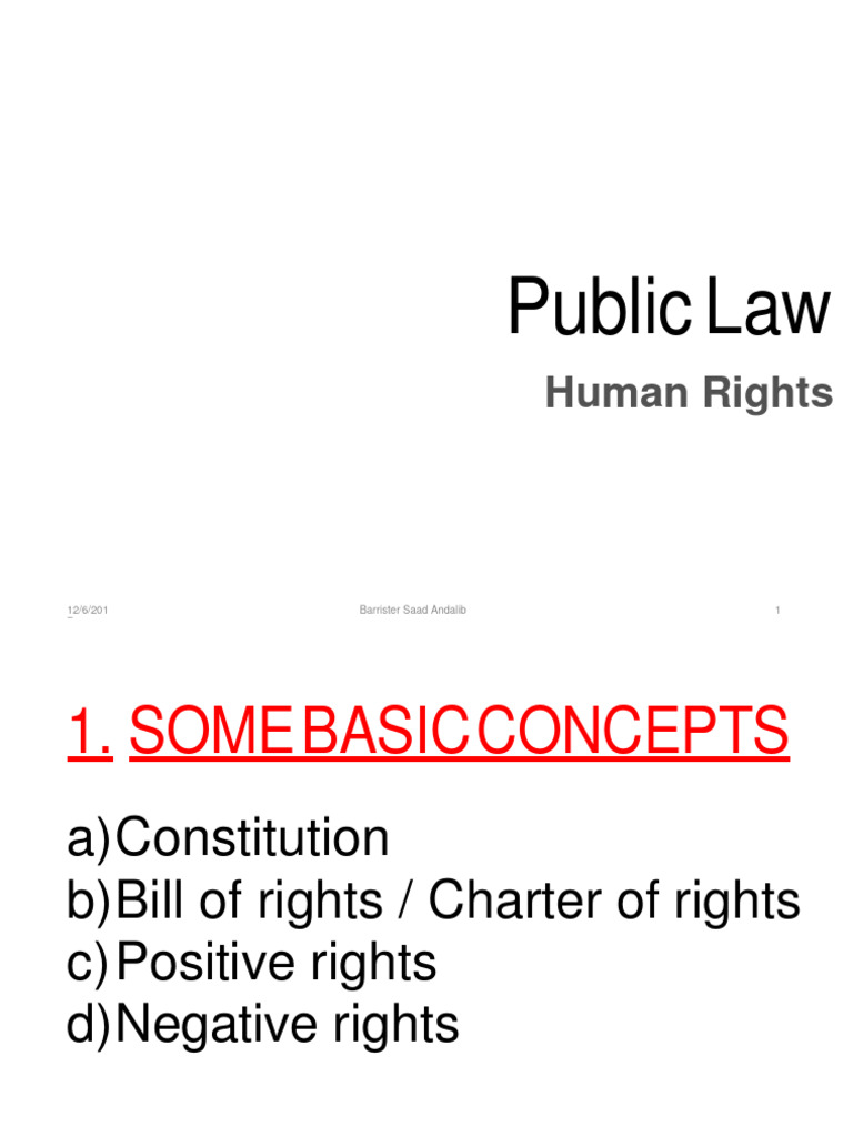 Understanding Human Rights Law Basics | PDF | European Convention On ...