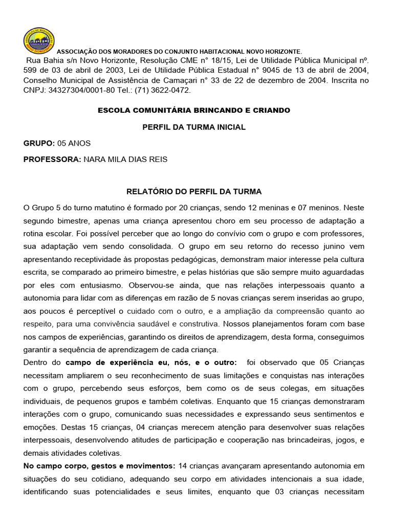 Relatorio Do Perfil Da Turma Matutino | PDF