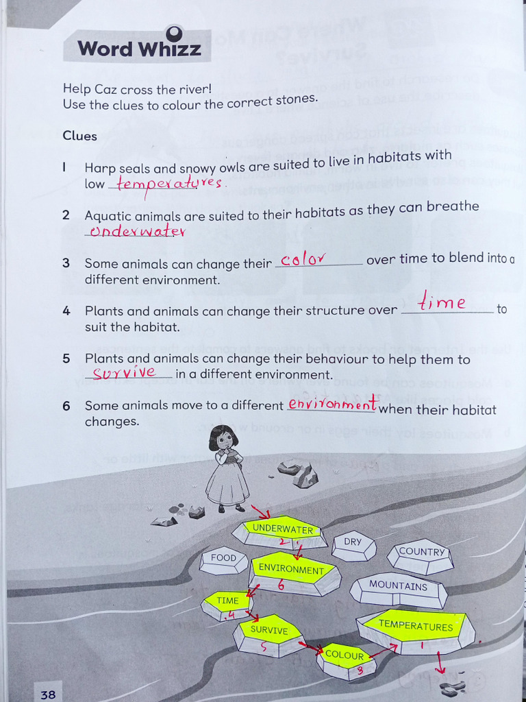 Ans Activity Book Revision 2nd Term | PDF