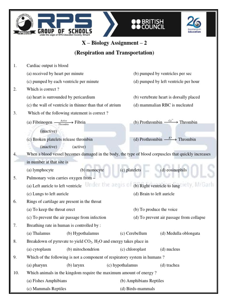 10th Biology Assignment | PDF | Cellular Respiration | Citric Acid Cycle