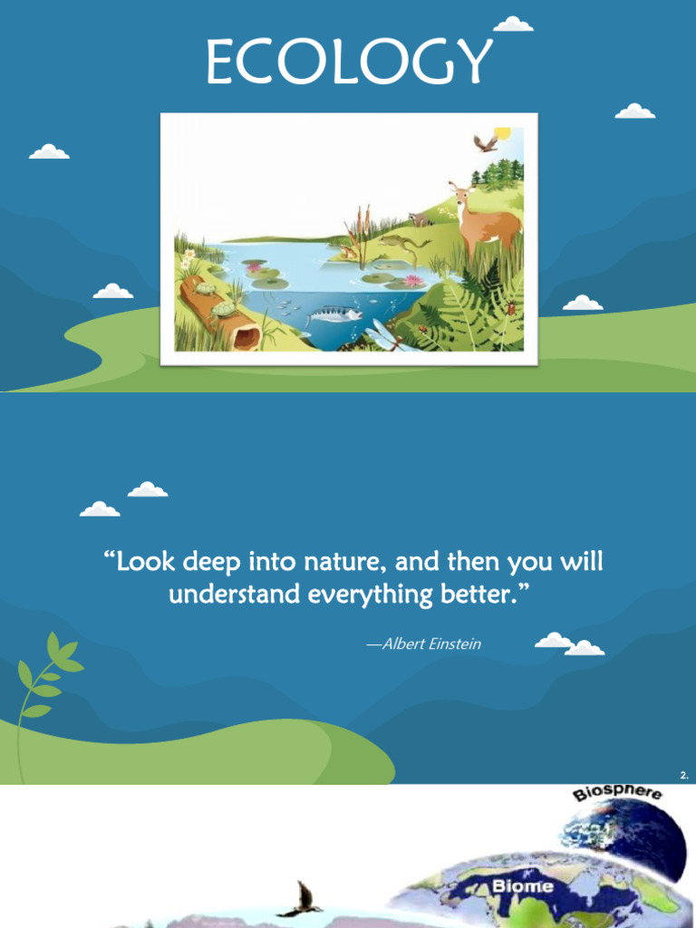 GE110321 Topic 13 Ecology | PDF