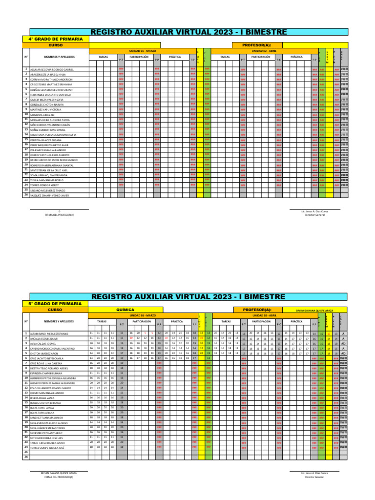 Reg. Ib Polidocencia Ok | PDF
