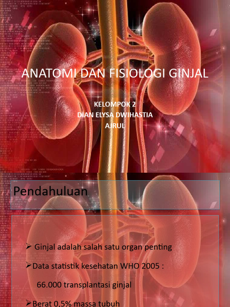Power Point Anatomi Dan Fisiologi Ginjal | PDF | Pengembangan Diri