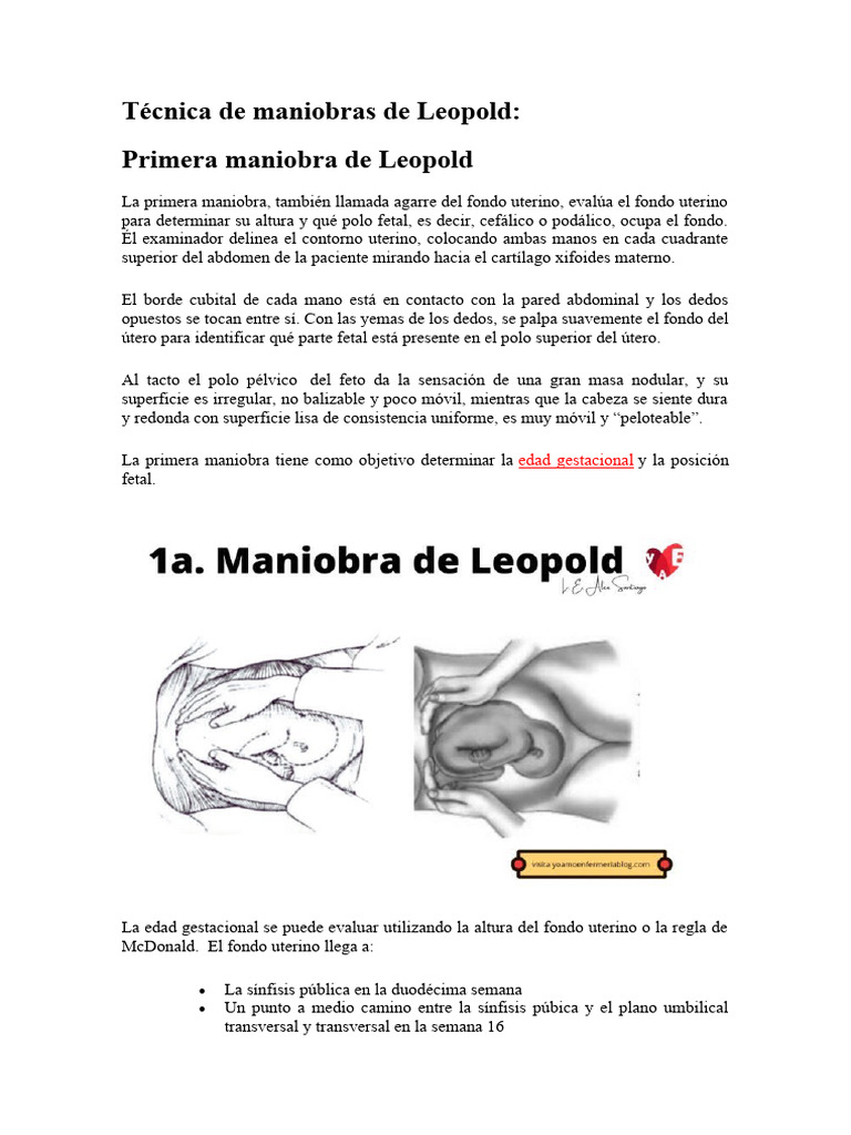 Maniobras de Leopold 1 | PDF | Anatomía