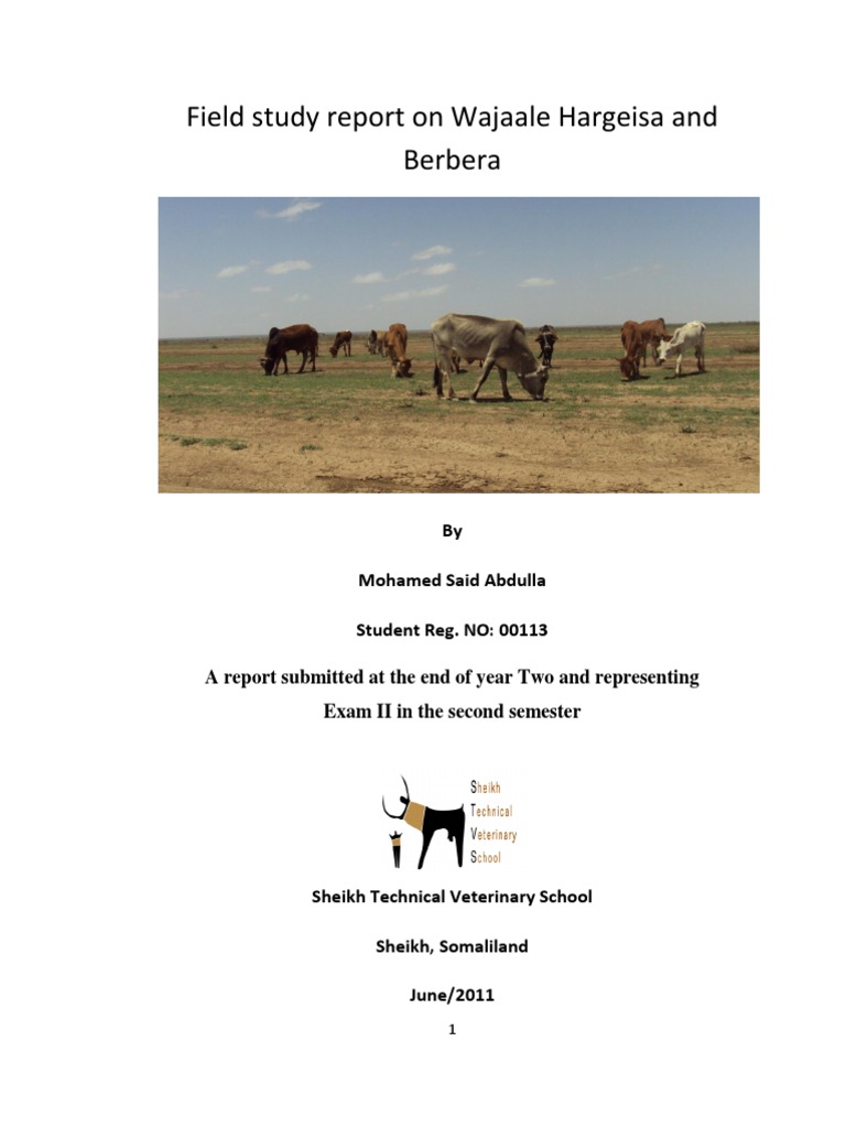 Field Study Report On Wajaale Hargeisa and Berbera | PDF | Livestock | Goat