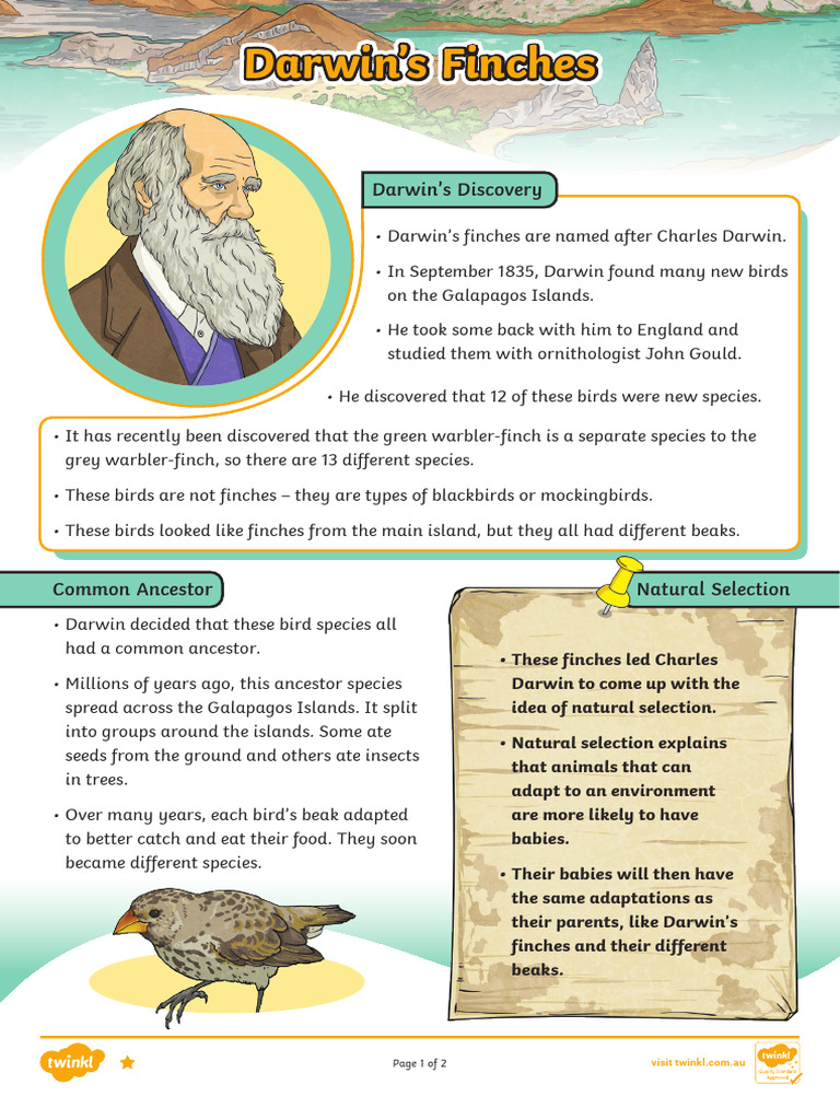 Darwins Finches Differentiated Reading Comprehension - Ver - 1 | PDF ...