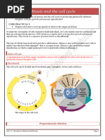 Mitosis and the Cell Cycle - Cell Division - AQA - GCSE Biology (Single ...