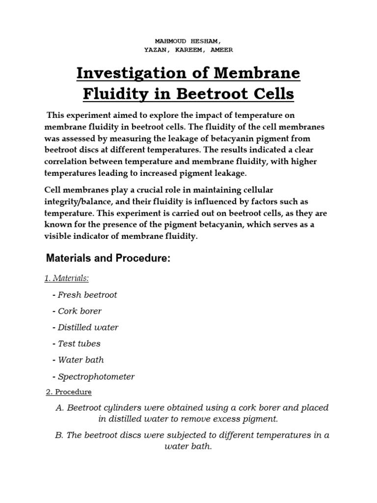 Investigation of Membrane Fluidity in Beetroot Cells | PDF | Lipid ...