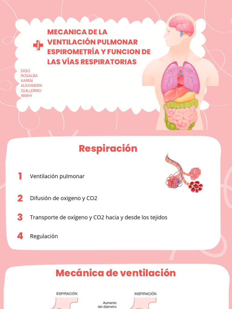 Mecanica de Ventilación Pulmonar | PDF | Pulmón | Sistema respiratorio