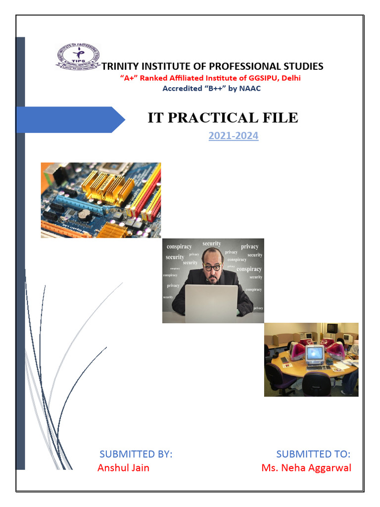 IT Practical File 2021-24 | PDF