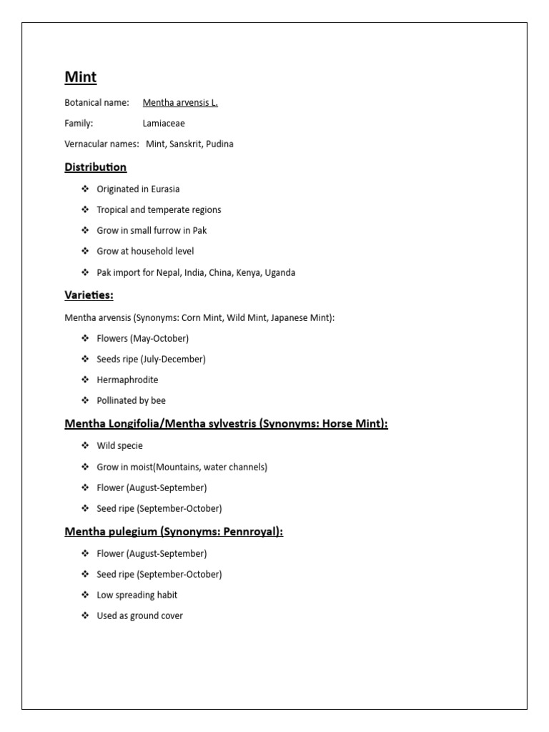 Mint BB | PDF | Mentha | Botany