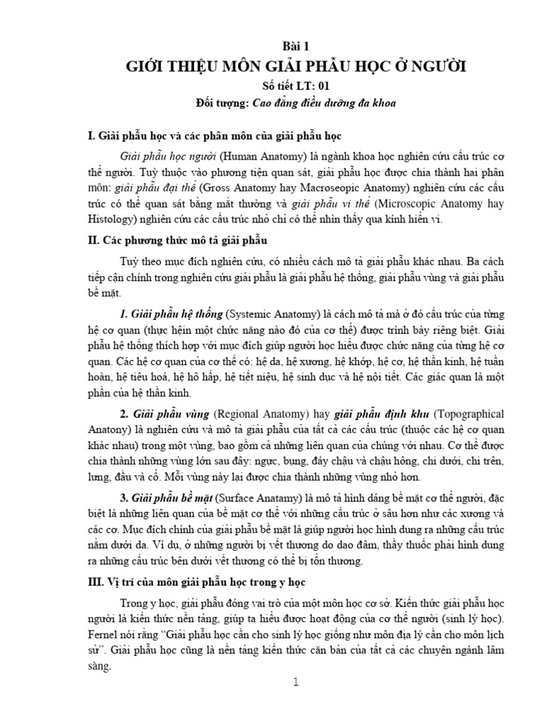 Ky 1. Giai Phau 204 Da Nen | PDF