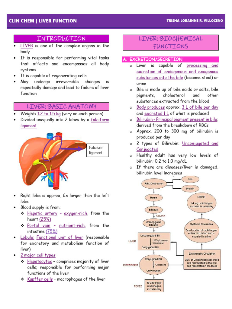 Finals Topic 3 Clin Chem Liver Function | PDF | Liver | Biochemistry