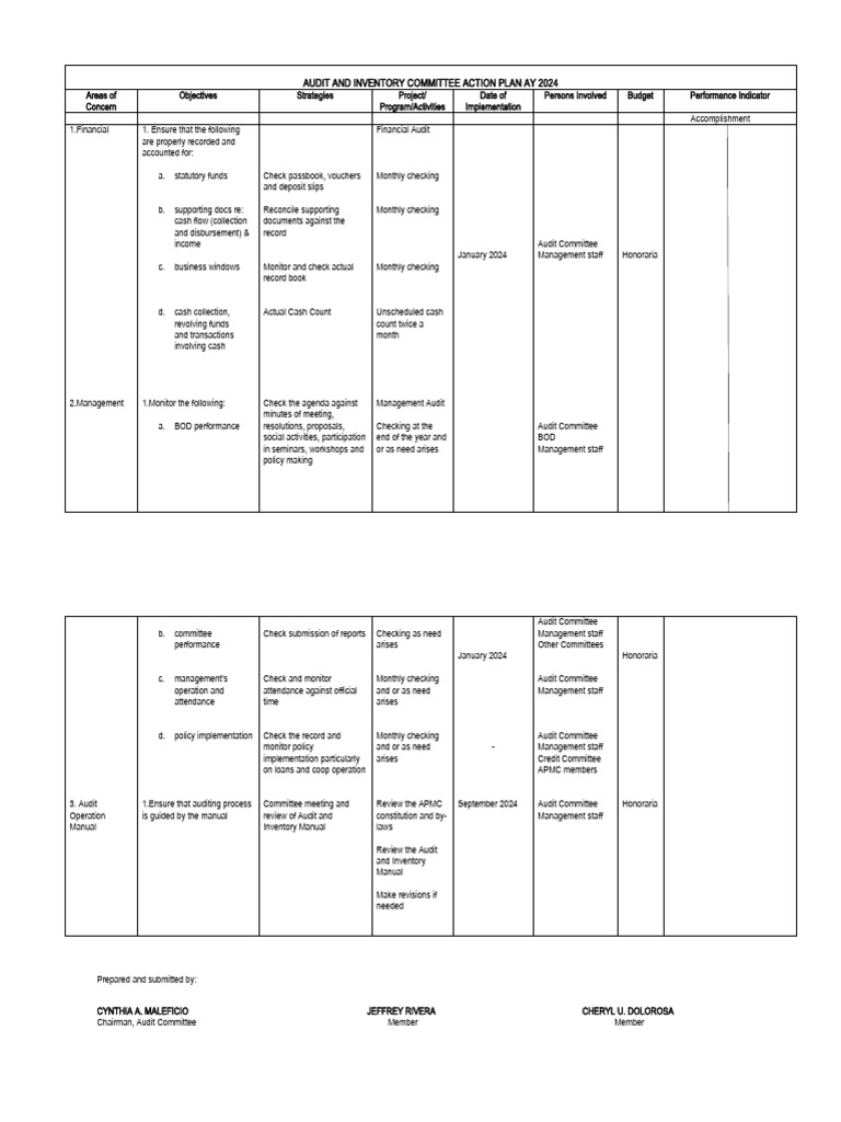 Audit Committee Action Plan Ay 2024) | PDF | Audit | Financial Services