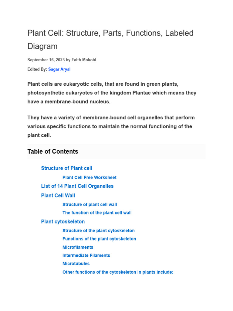Plant Cell - Structure, Parts, Functions, Labeled Diagram | PDF | Cell (Biology) | Chloroplast