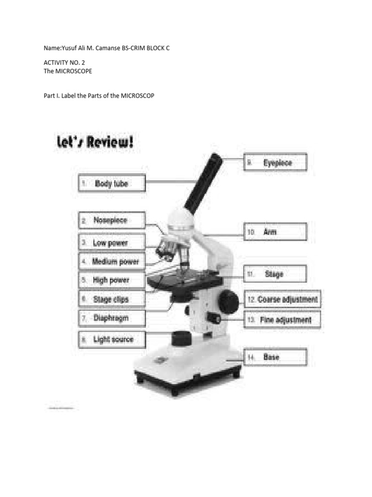 Activity No. 2 - The MICROSCOPE | PDF | Microscope | Confocal Microscopy Activity No. 2 - The MICROSCOPE | PDF | Microscope | Confocal Microscopy