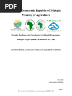 Hargeisa Districts and Map Overview | PDF | Somalia | Business