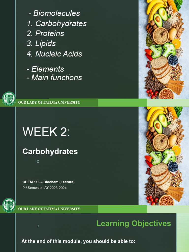 Chem-113 Carbohydrates | PDF | Carbohydrates | Biochemistry