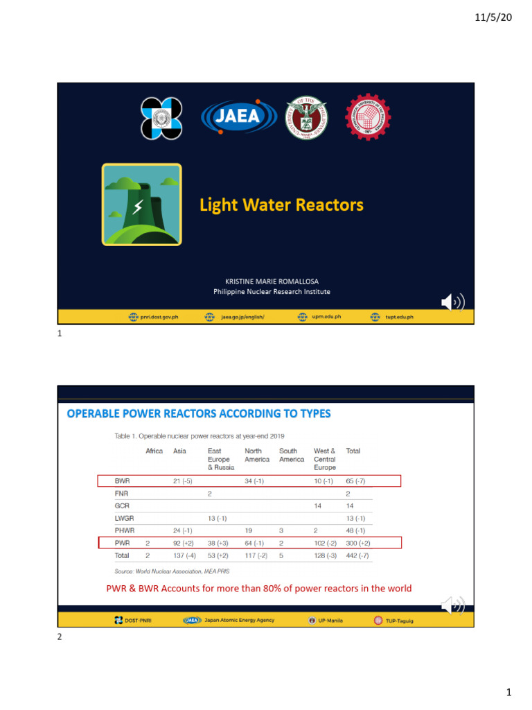 Light Water Reactors | PDF | Pressurized Water Reactor | Nuclear Reactor