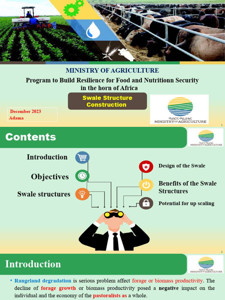 Swale Structures | PDF | Surface Runoff | Soil