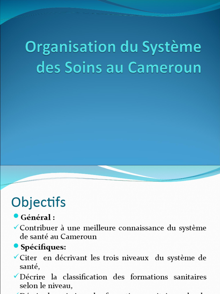 Organisation du système de santé au Cameroun | PDF | Hôpital | Soins de santé