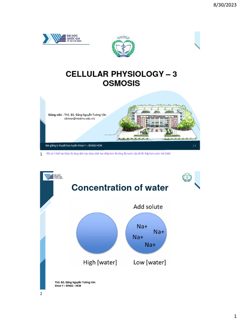 11 Cellular Physiology 3 - Solute and Water Transport | PDF